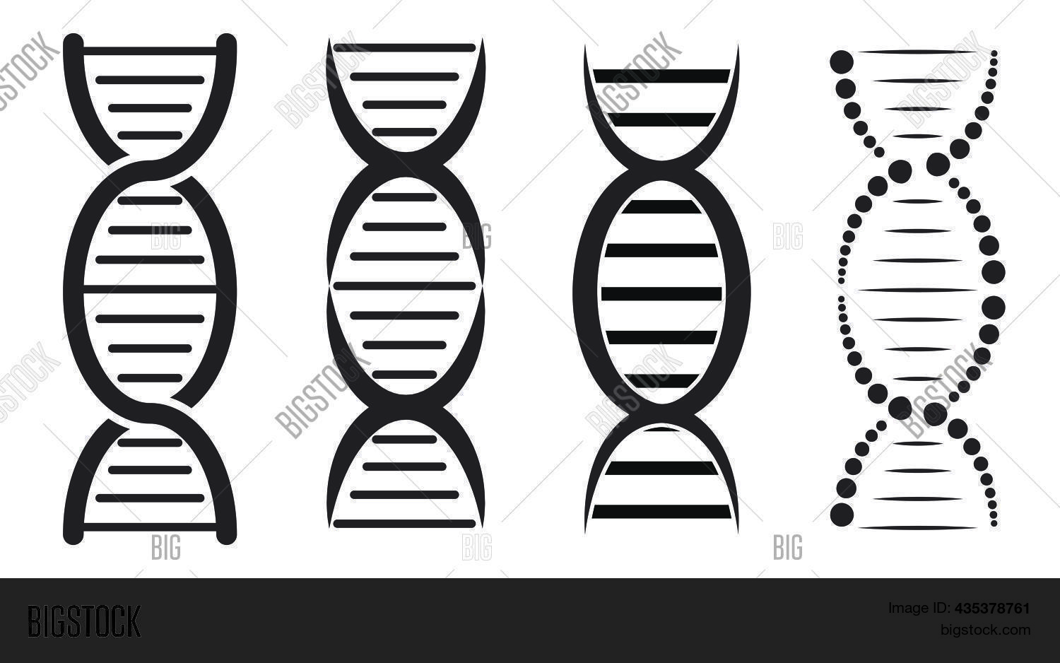 Dna Helix Icon. Vector & Photo (Free Trial) | Bigstock
