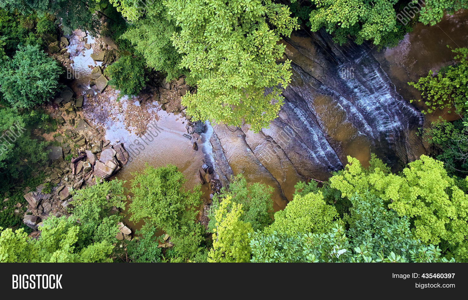 Forest Looking Down Image & Photo (Free Trial) | Bigstock