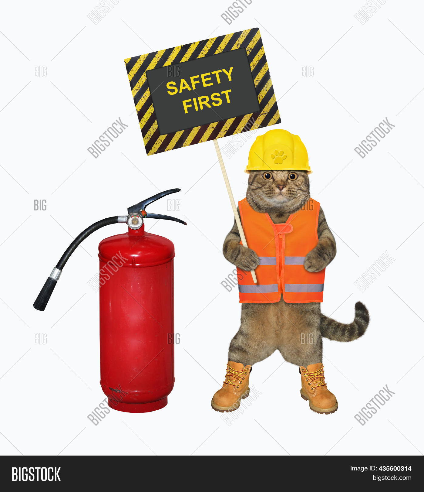 Beige Cat Construction Image & Photo (Free Trial) | Bigstock