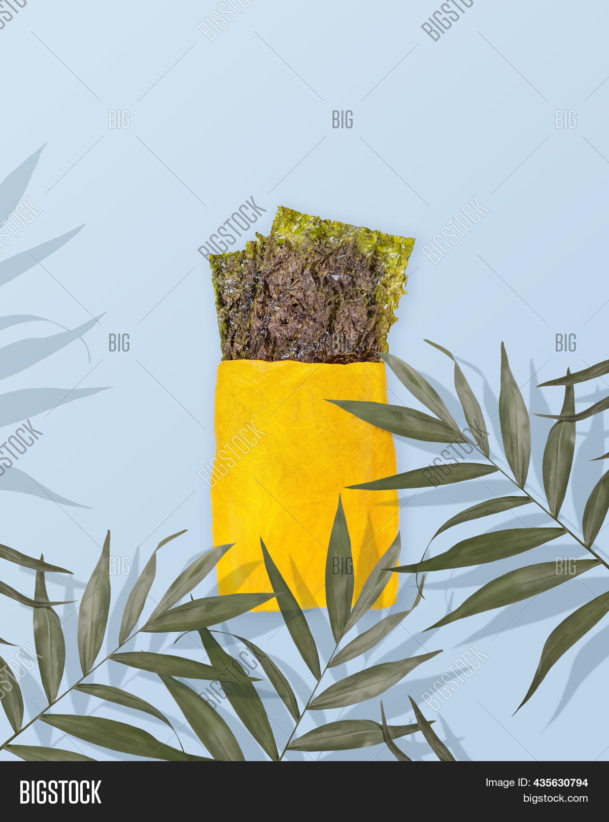 Natural Dried Seaweed Image & Photo (Free Trial) | Bigstock