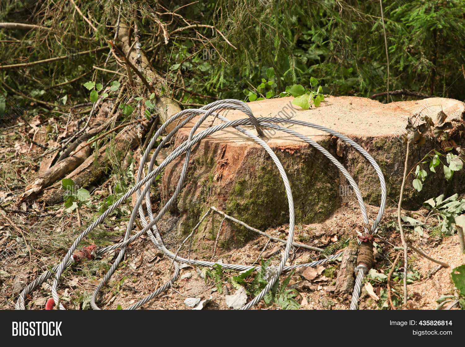 Iron Cable Lies On Image & Photo (Free Trial) | Bigstock