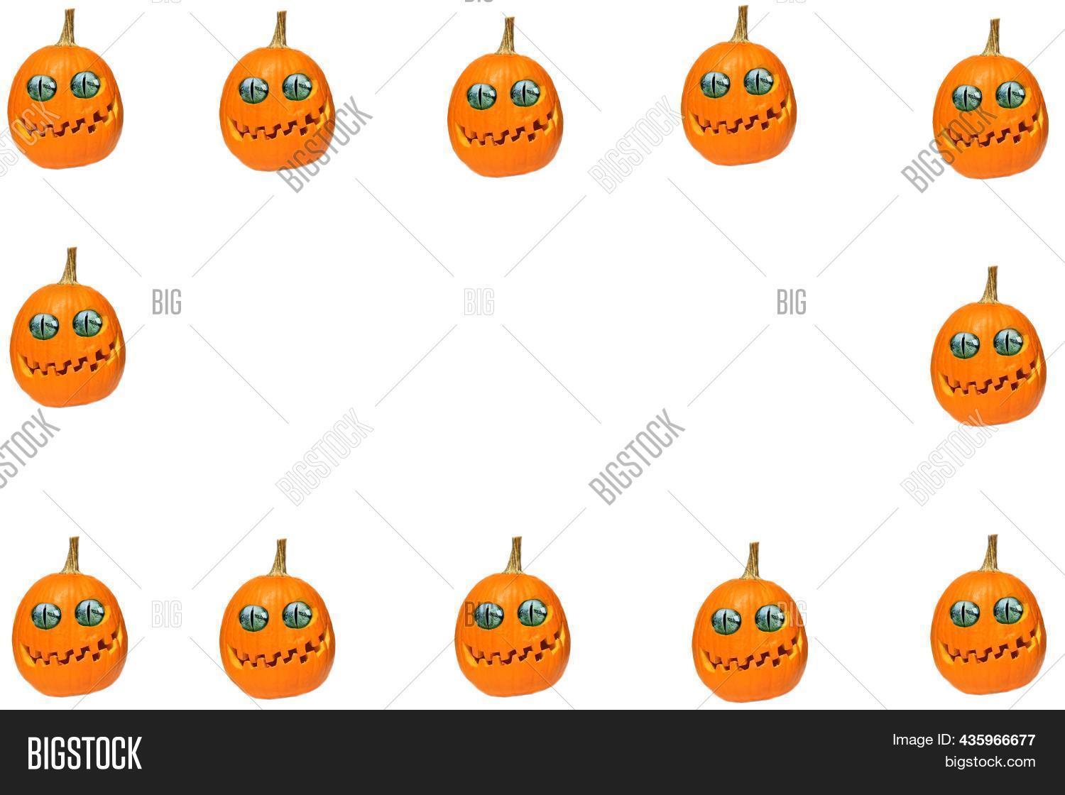 Pumpkin Picture Frame Image & Photo (Free Trial) | Bigstock