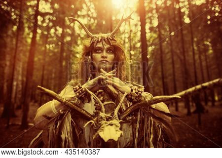 Ancient Shaman Woman Image & Photo (Free Trial) | Bigstock