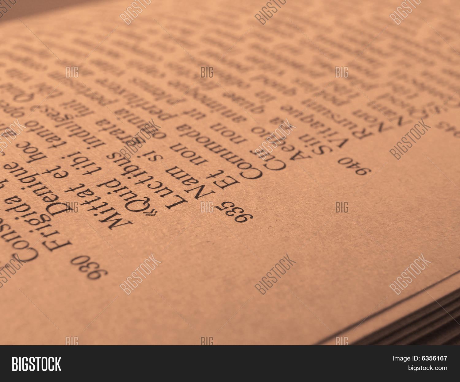 Open Book Pages Image & Photo (Free Trial) | Bigstock