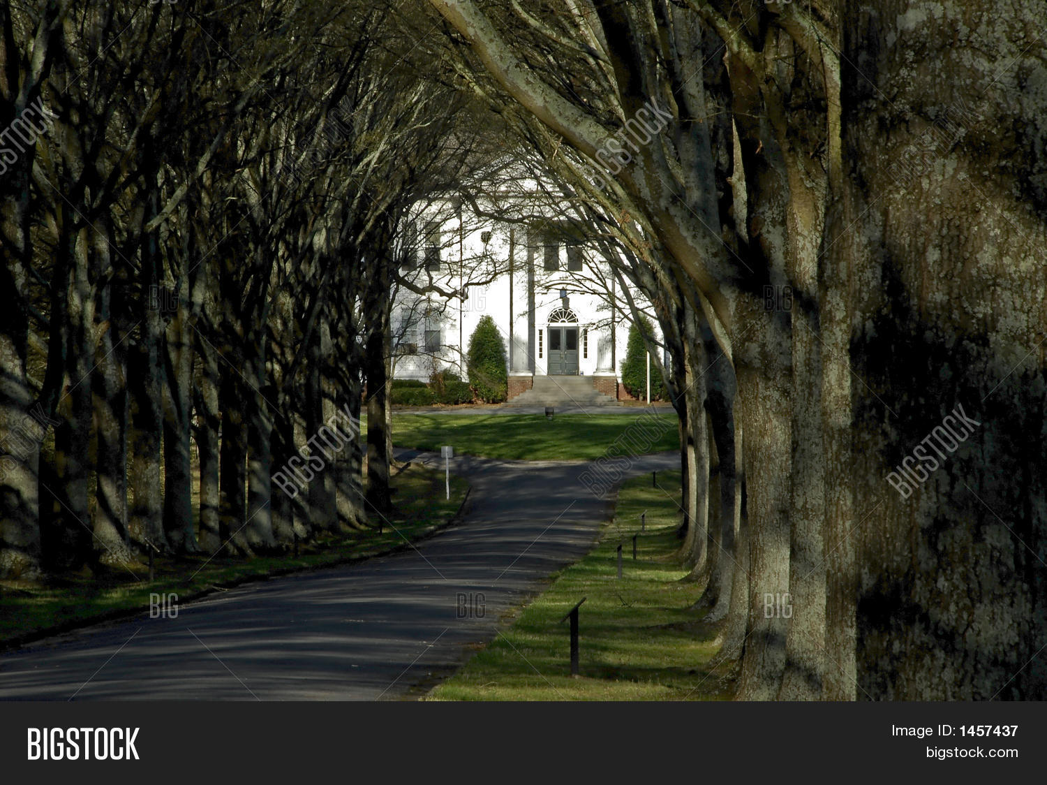 Tree Lined Entry Image & Photo (Free Trial) | Bigstock