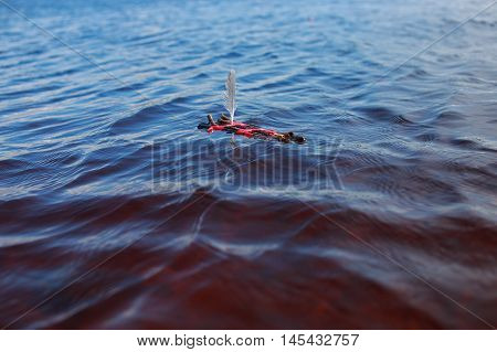 Toy Wooden Raft On Image & Photo (Free Trial) | Bigstock
