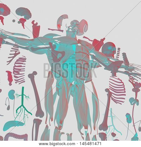 Human Anatomy Exploded Image & Photo (Free Trial) | Bigstock