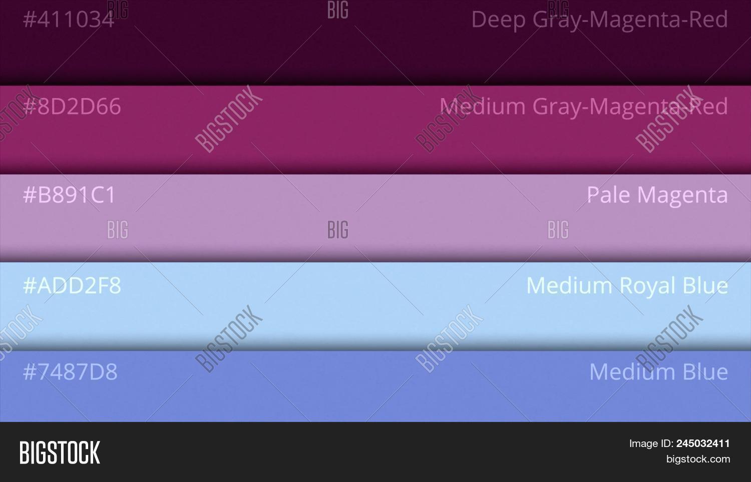 Color Pallette, Cosmic Image & Photo (Free Trial) | Bigstock