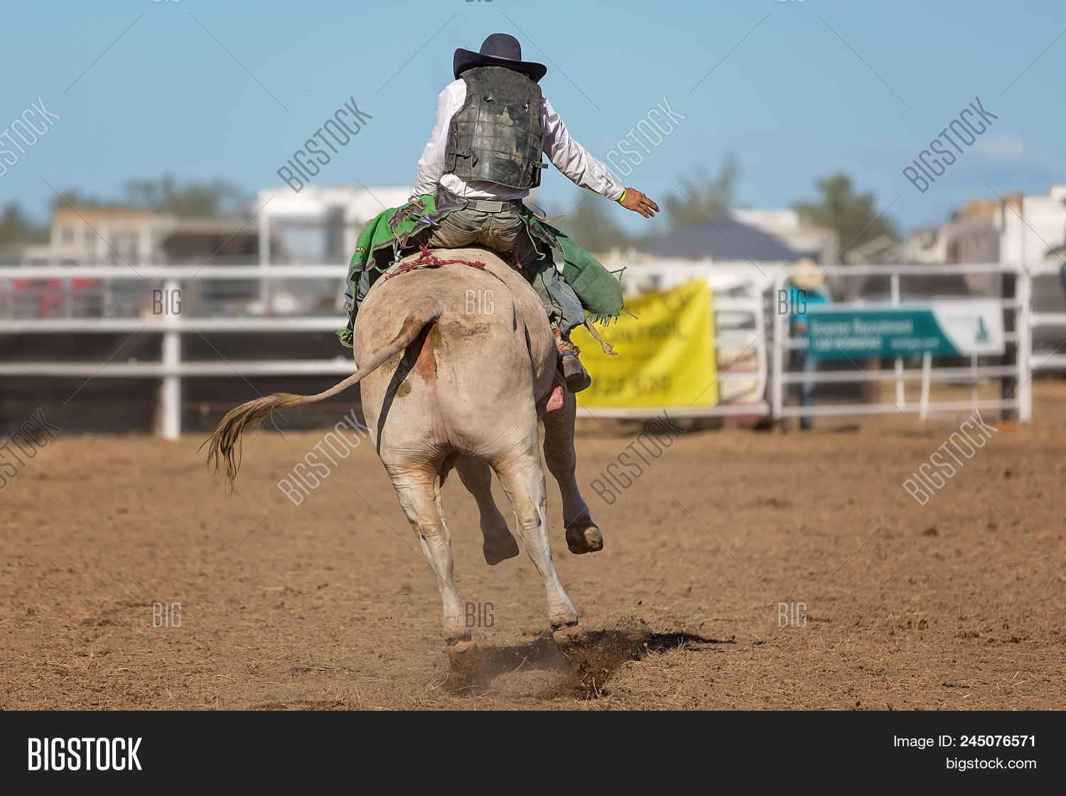 Cowboy Competing Bull Image & Photo (Free Trial) | Bigstock