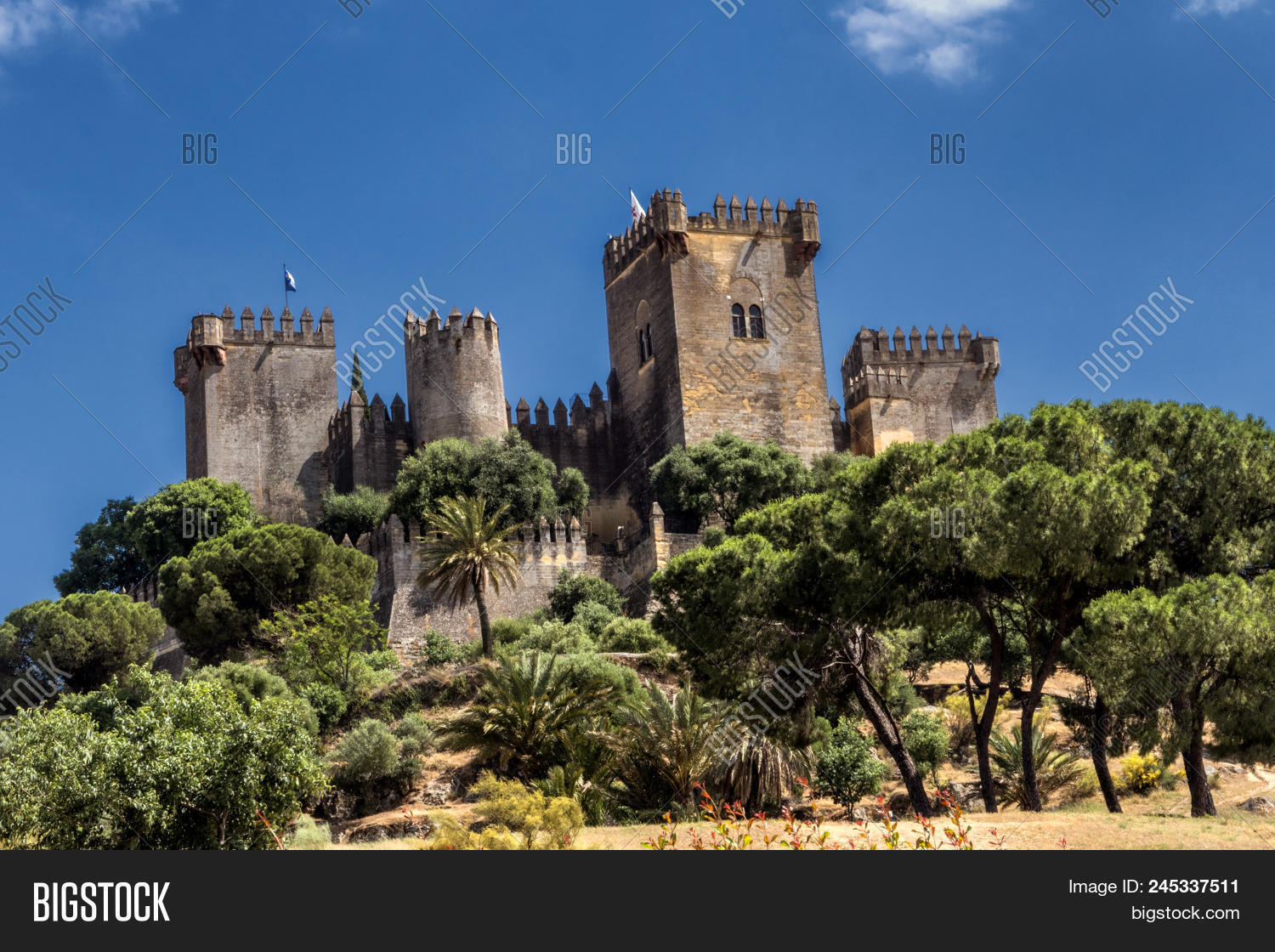 Castle Almodovar Del Image & Photo (Free Trial) | Bigstock