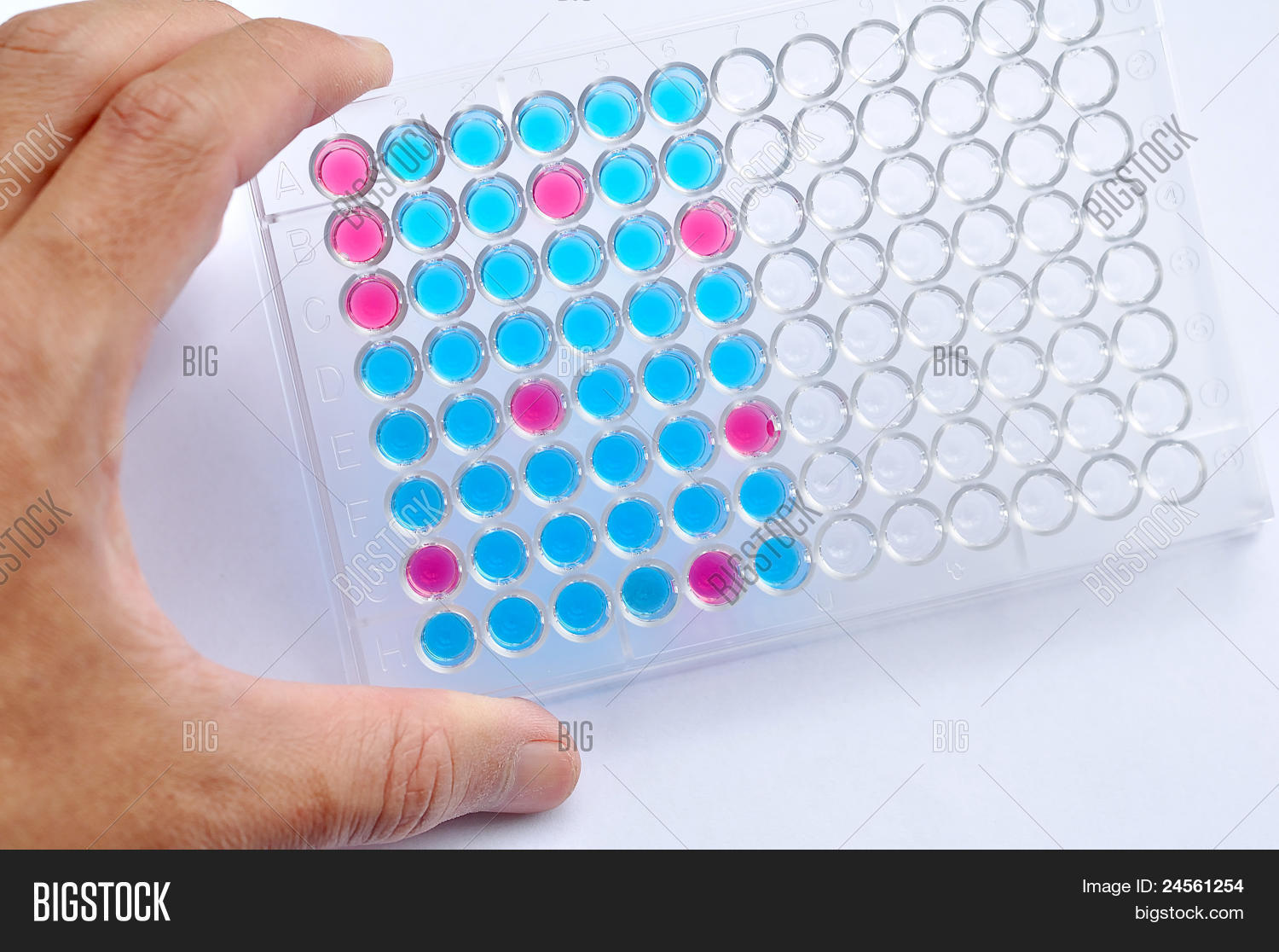 96 Wells Plate Image & Photo (Free Trial) | Bigstock