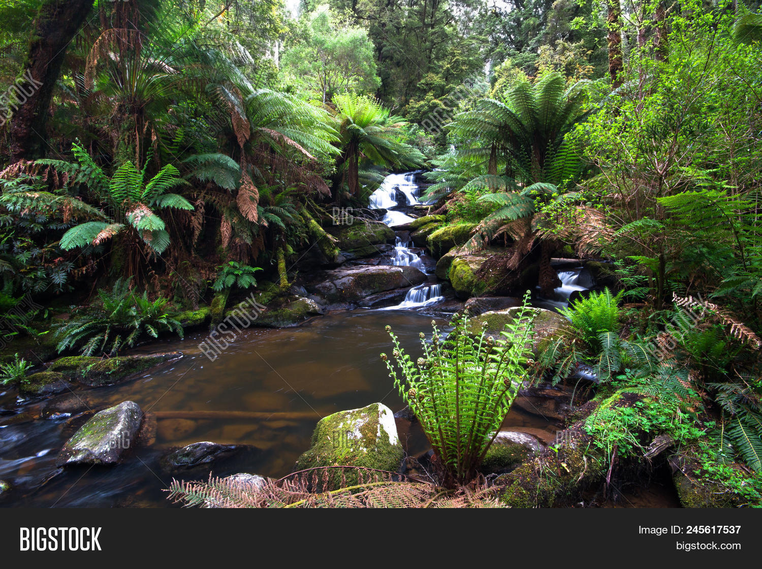 Small Creek Flows Image & Photo (Free Trial) | Bigstock