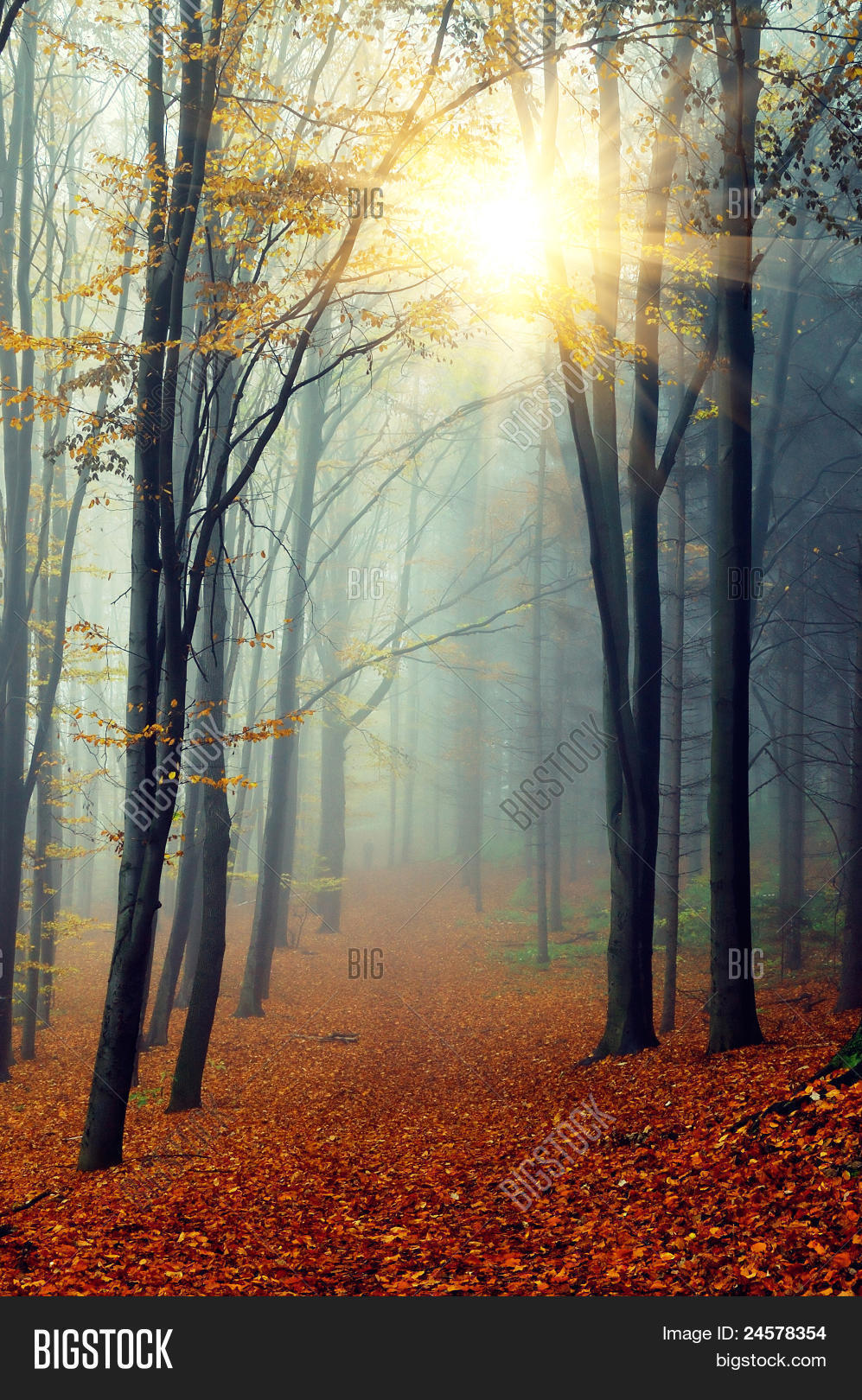 Autumn Landscape Image & Photo (Free Trial) | Bigstock