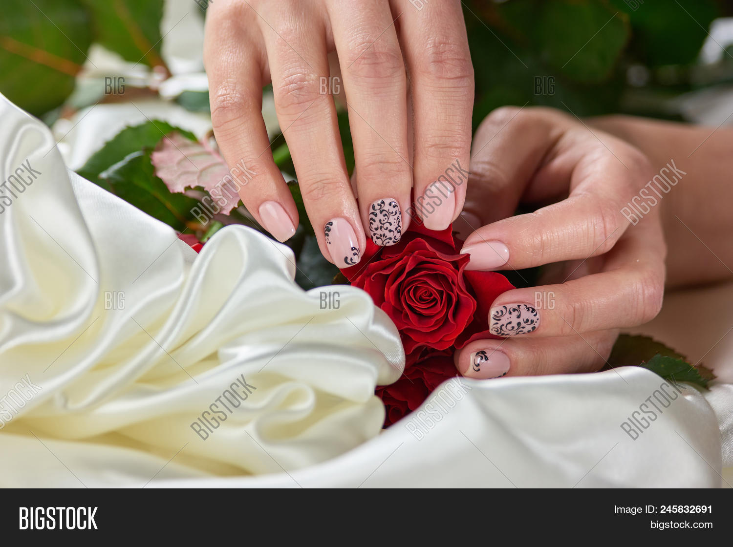 Female Hands Holding Image & Photo (Free Trial) | Bigstock