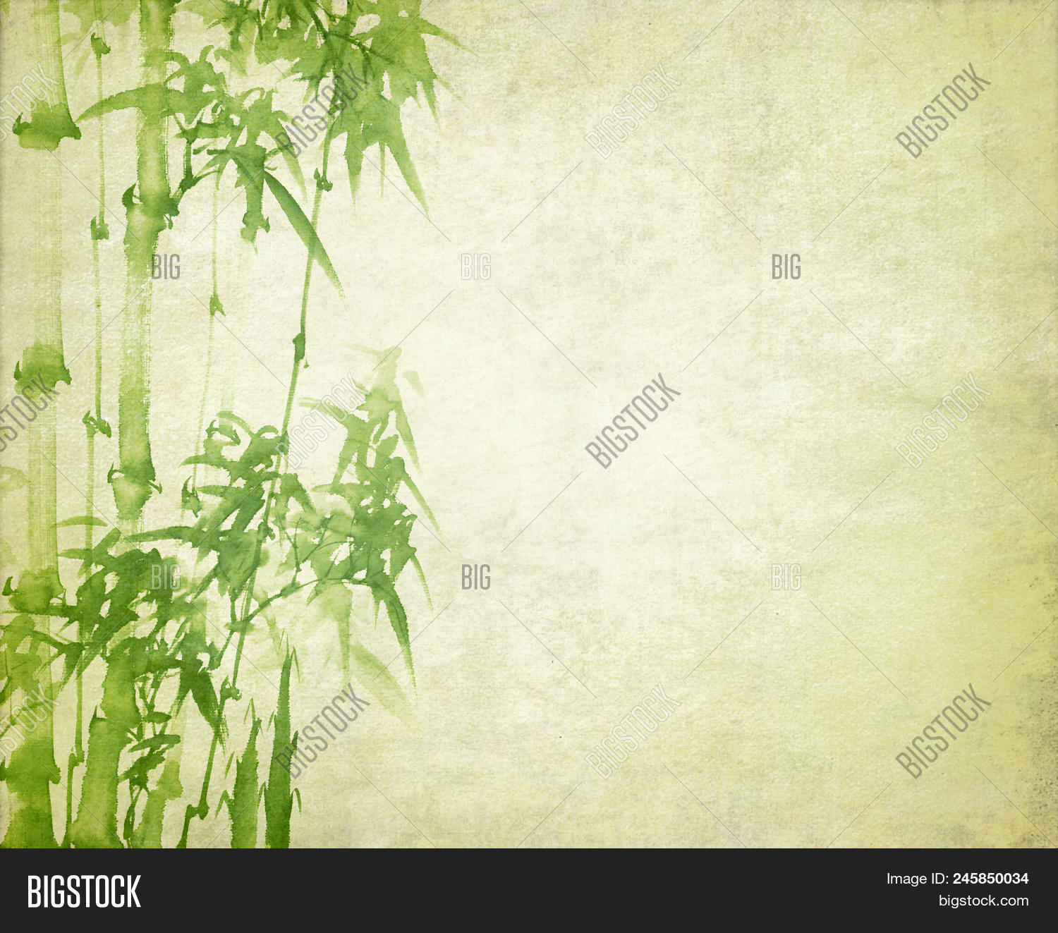 Imagen y foto Bamboo Traditional (prueba gratis) | Bigstock