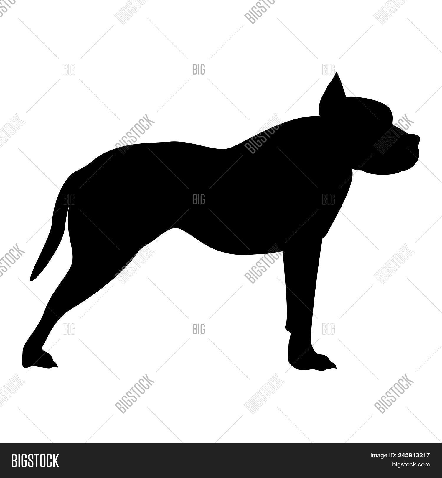 Pit Bull Terrier Icon Vector & Photo (Free Trial) | Bigstock