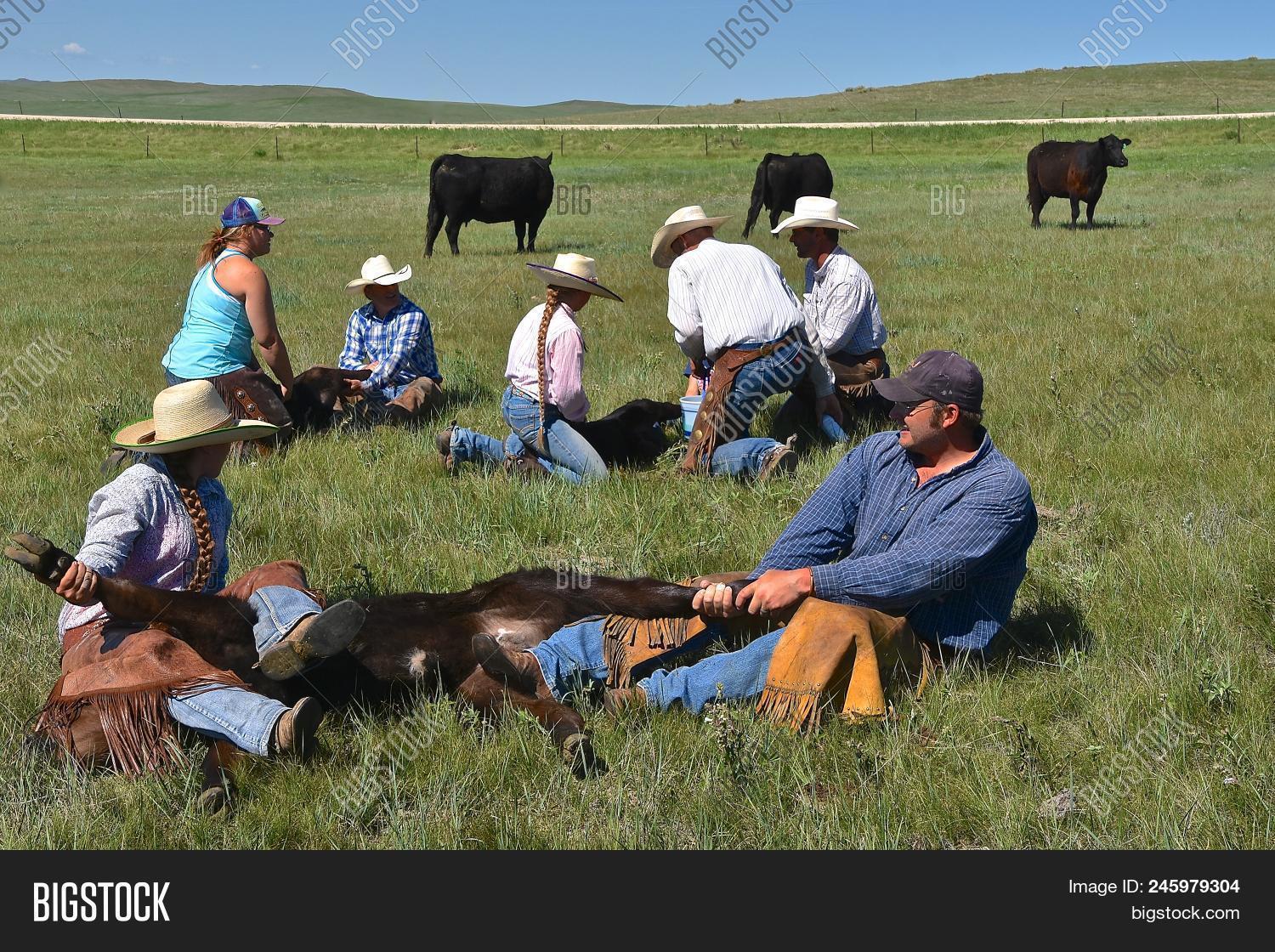 Mud Butte, South Image & Photo (Free Trial) | Bigstock