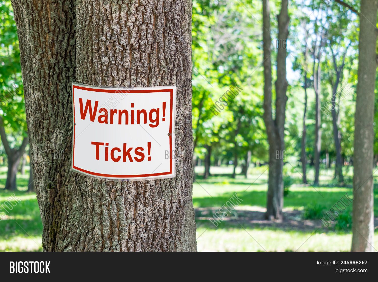 Sign Warning Ticks On Image & Photo (Free Trial) | Bigstock