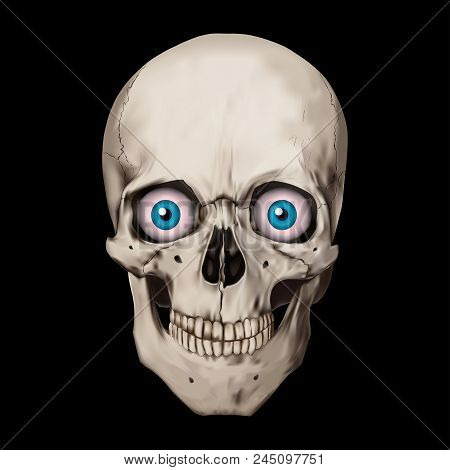 Human Realistic Skull Vector & Photo (Free Trial) | Bigstock