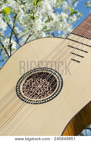 Vihuela De Mano 16Th Image & Photo (Free Trial) | Bigstock