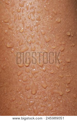 Texture Tanned Human Image & Photo (Free Trial) | Bigstock