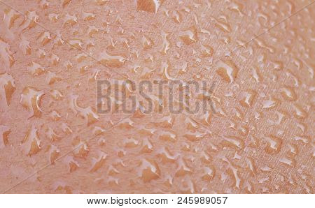 Texture Human Skin Image & Photo (Free Trial) | Bigstock