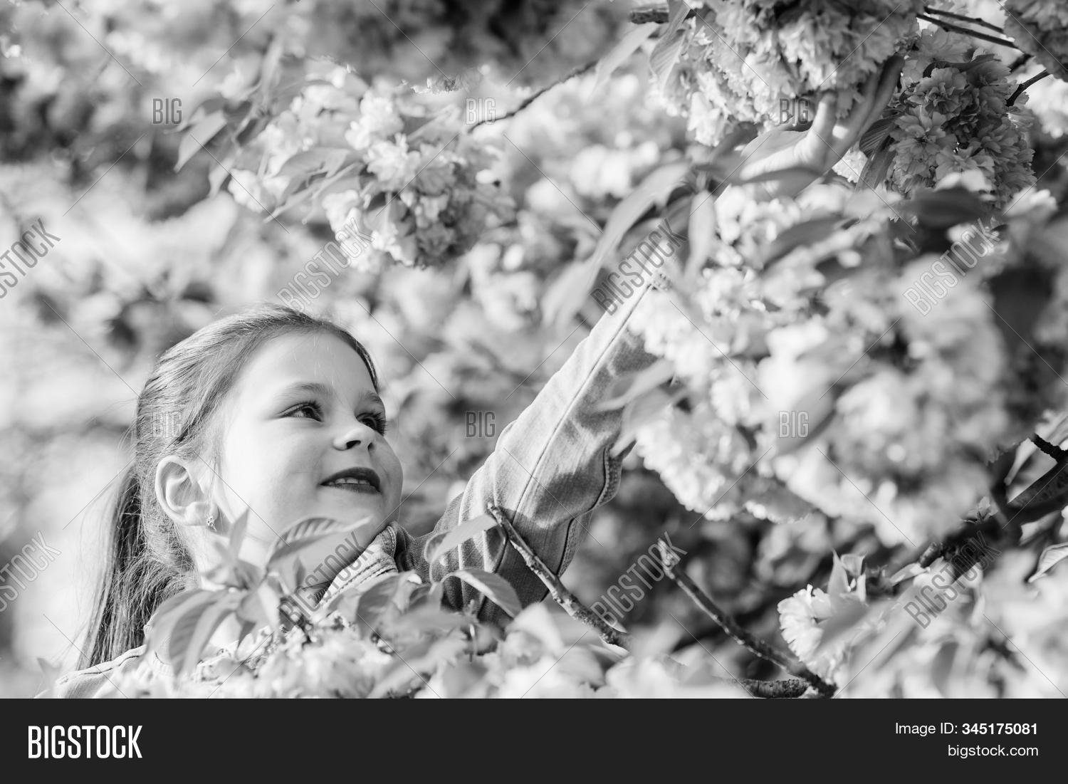 Enjoy Smell Tender Image & Photo (Free Trial) | Bigstock