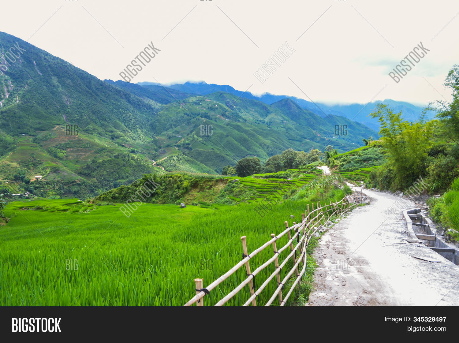 Rice Fields Fog Sapa, Image & Photo (Free Trial) | Bigstock