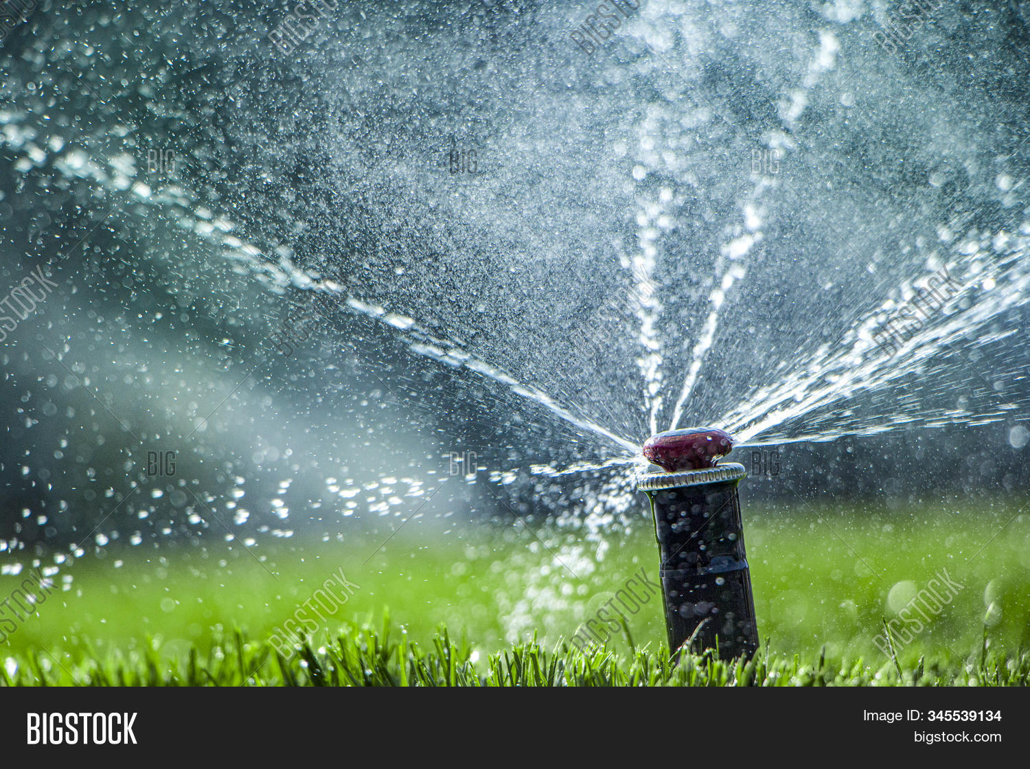 Automatic Sprinkler Image & Photo (Free Trial) | Bigstock