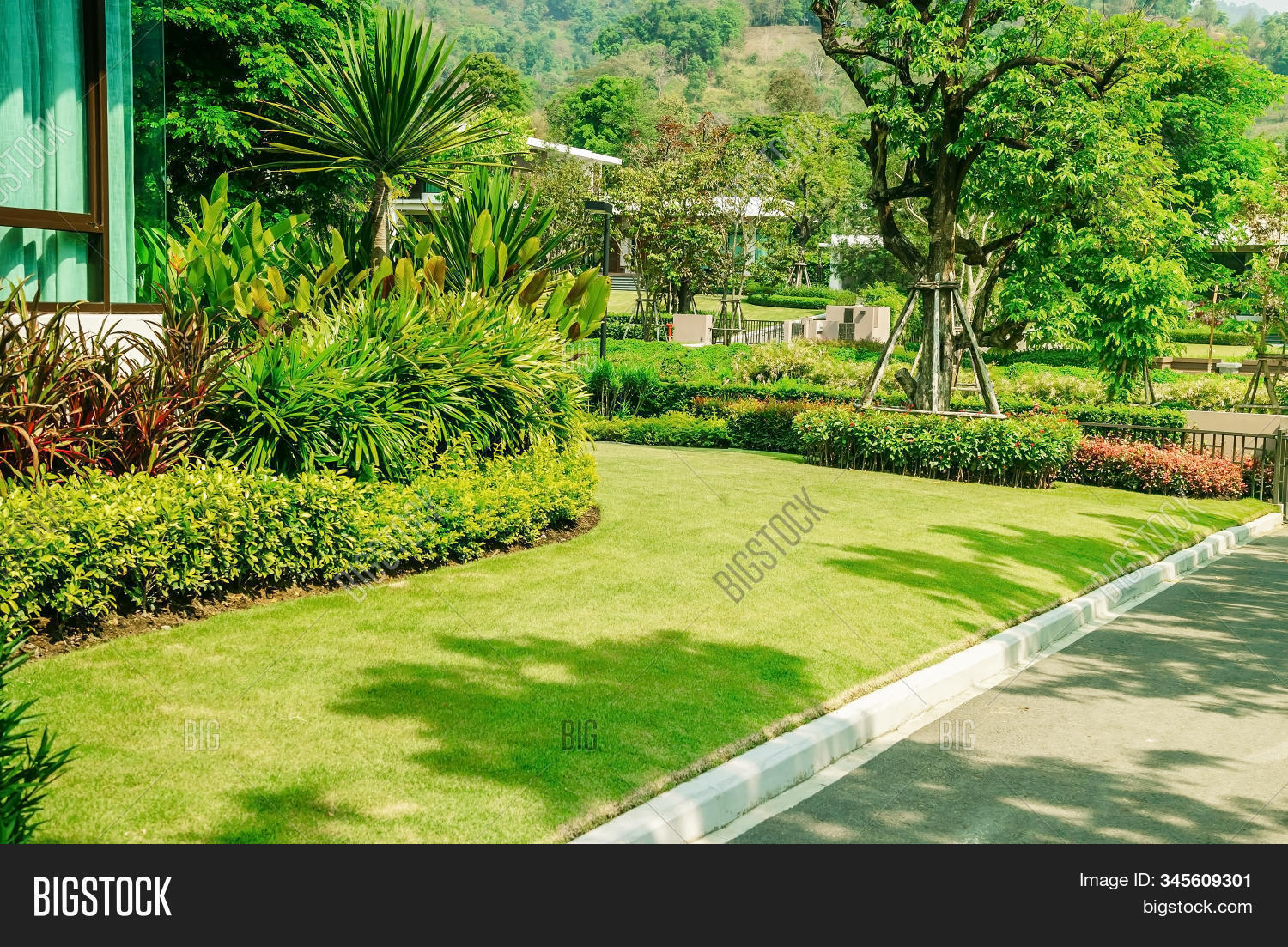 Green Lawn, Front Lawn Image & Photo (Free Trial) | Bigstock