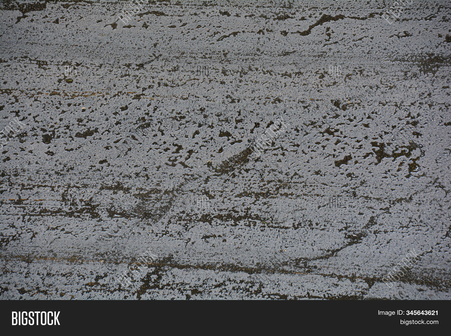Wet Asphalt Pavement Image & Photo (Free Trial) | Bigstock