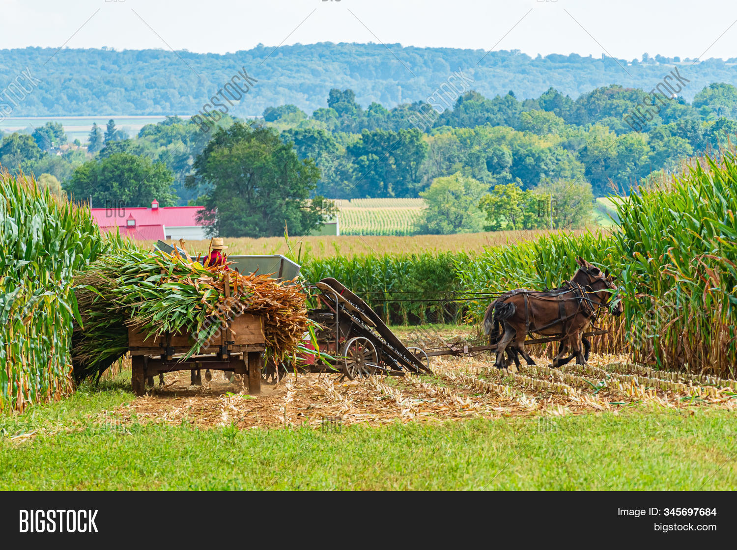 Amish Country Field Image & Photo (Free Trial) | Bigstock