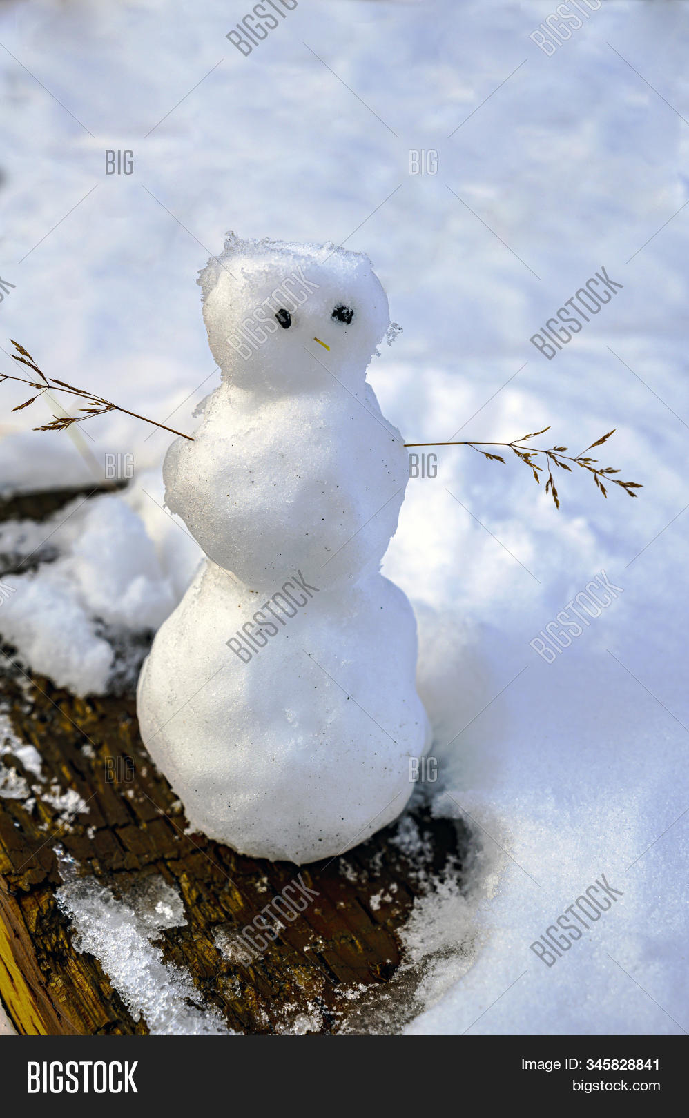 Tiny Sad Face Snowman Image & Photo (Free Trial) | Bigstock