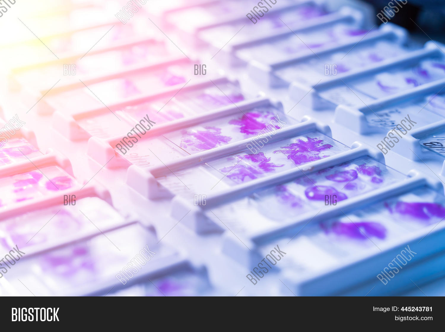 Rows Microscope Glass Image & Photo (Free Trial) | Bigstock
