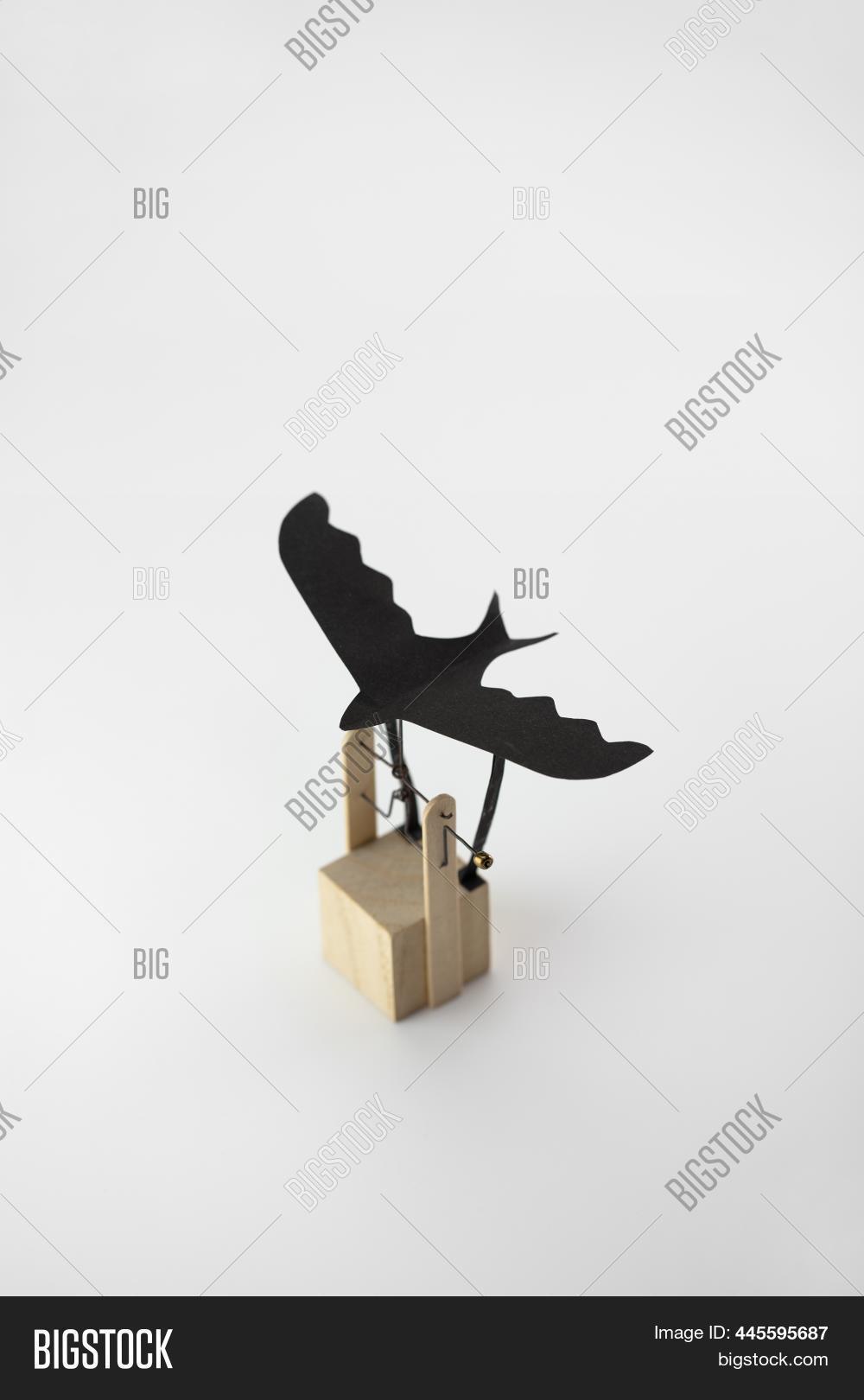 Flying Bird Automata Image & Photo (Free Trial) | Bigstock