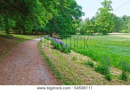 Purple Pathways Images, Illustrations & Vectors (Free) - Bigstock