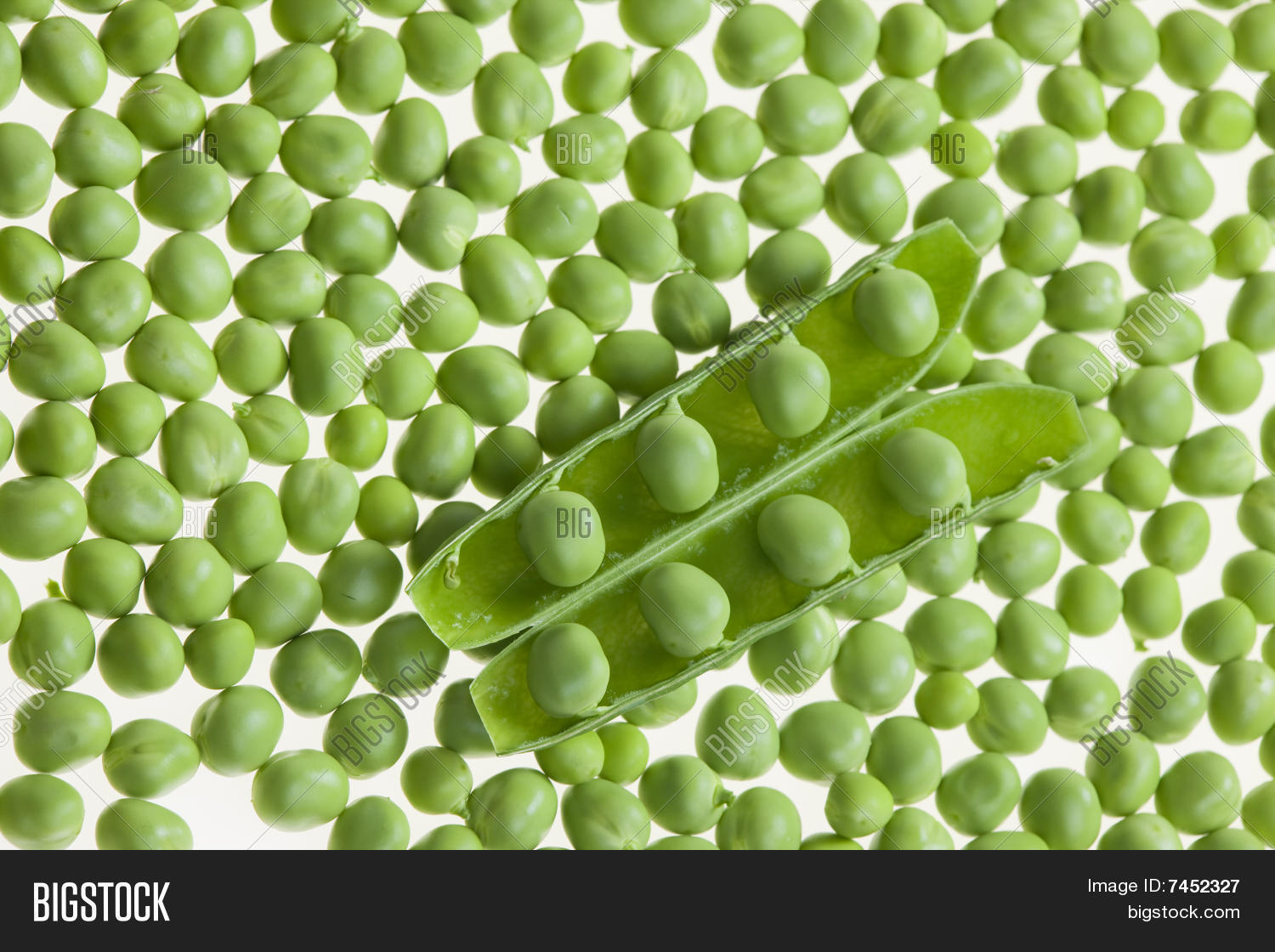 Pea Pod Peas Image & Photo (Free Trial) | Bigstock