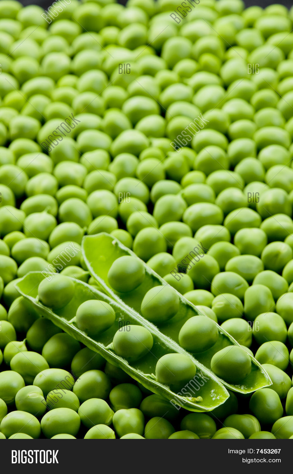 Pea Pod Peas Image & Photo (Free Trial) | Bigstock