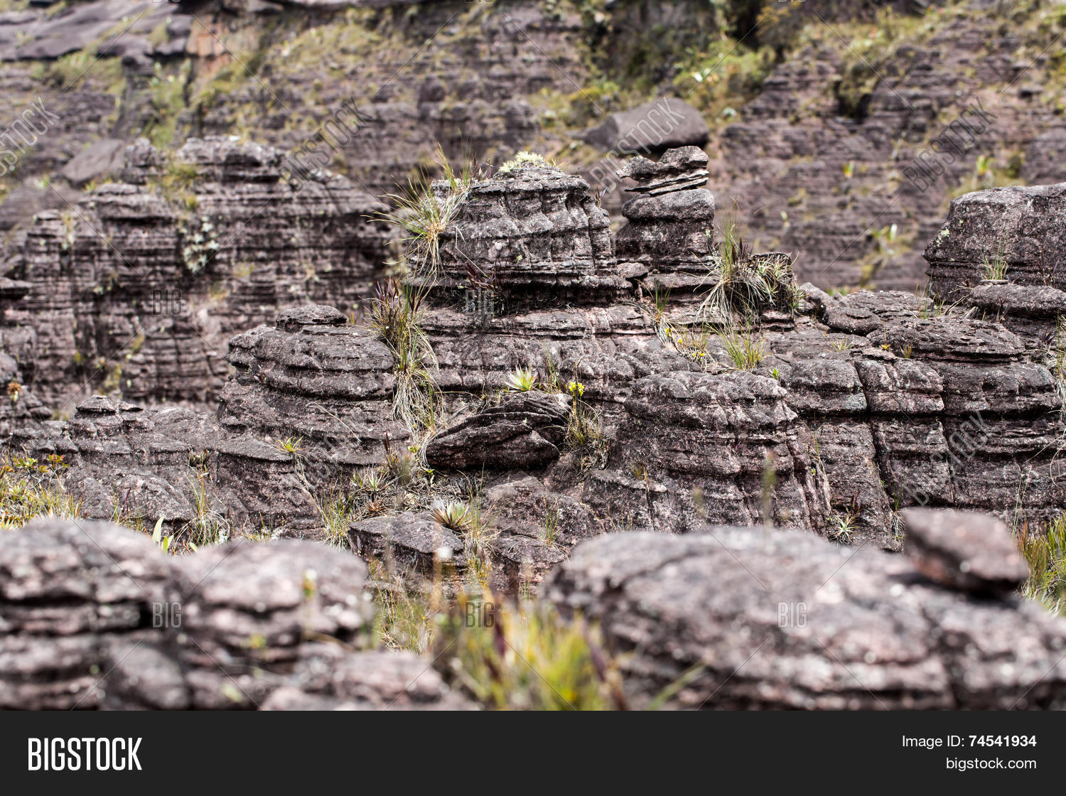Bizarre Ancient Rocks Image & Photo (Free Trial) | Bigstock