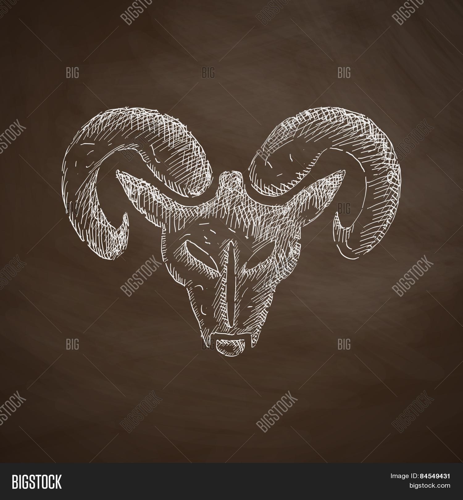 Head Ram Icon Vector & Photo (Free Trial) | Bigstock