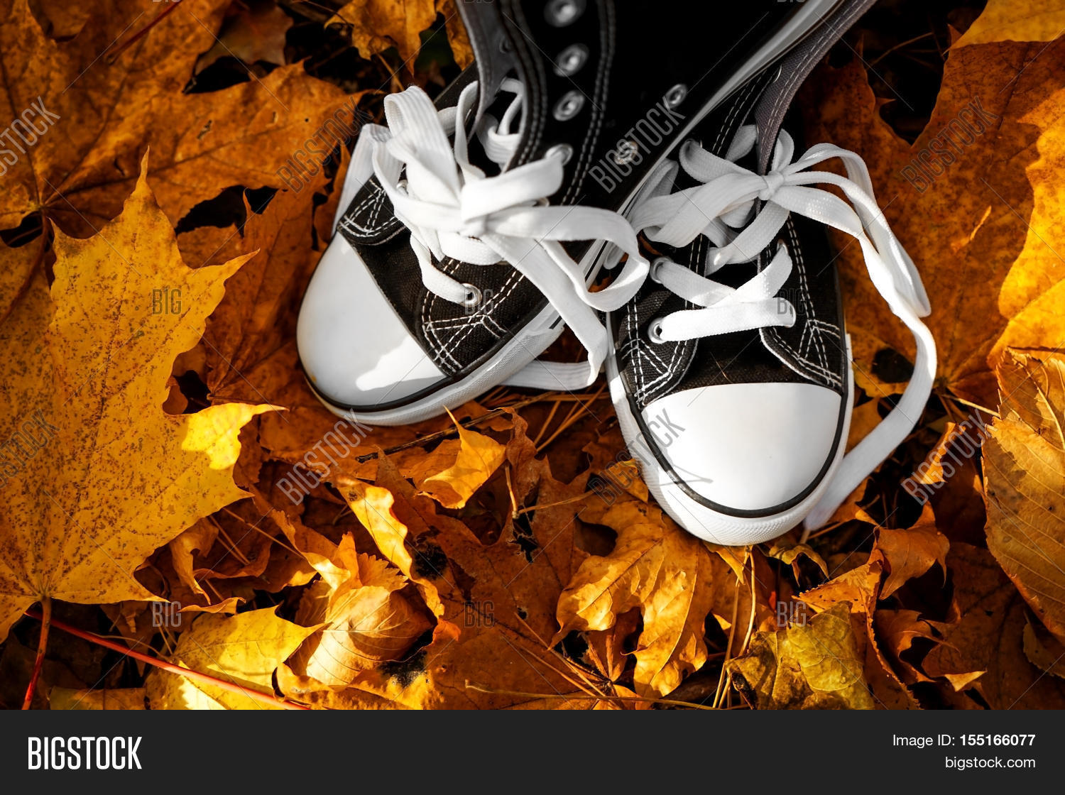 Pair Sneakers On Image & Photo (Free Trial) | Bigstock