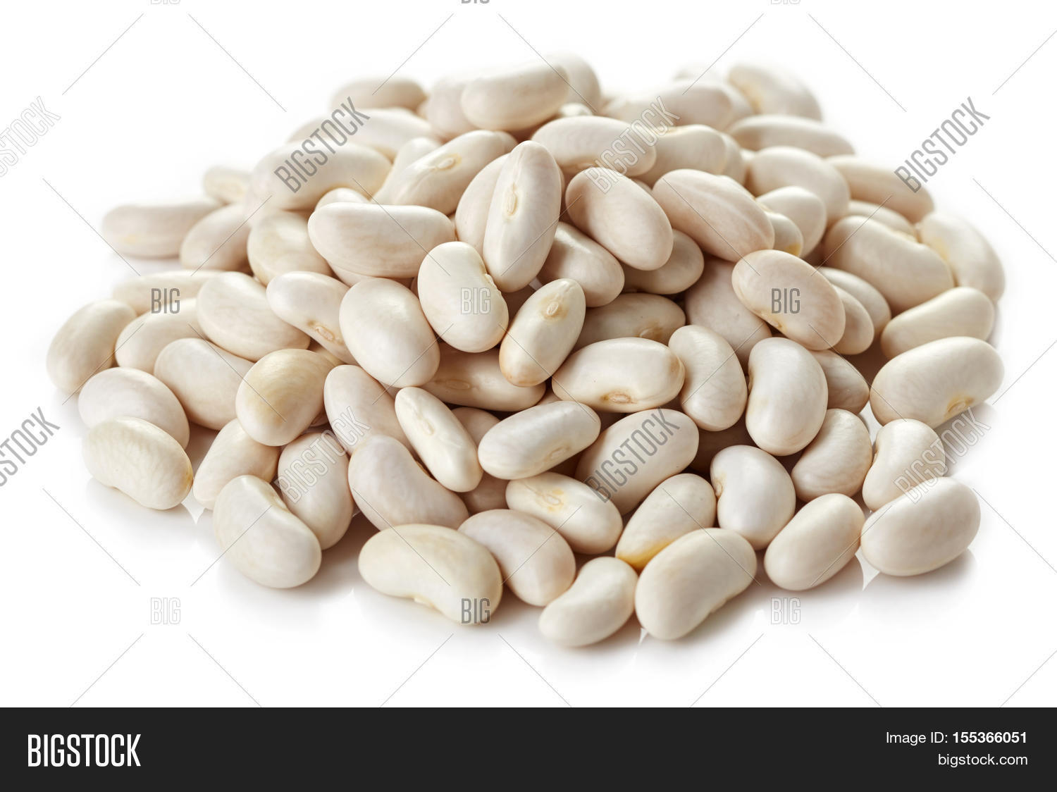 White Beans Image & Photo (Free Trial) | Bigstock
