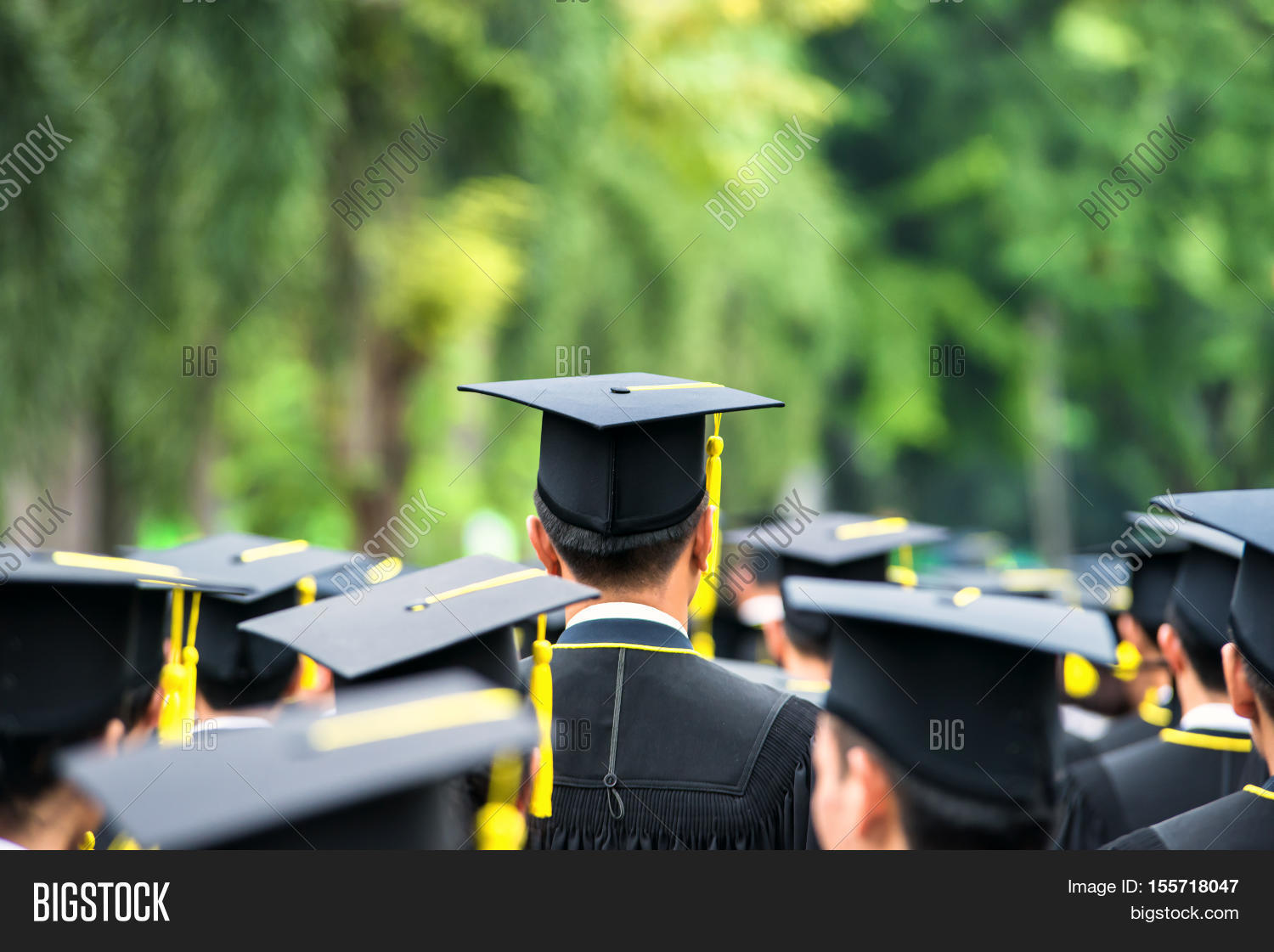 Back Graduates During Image & Photo (Free Trial) | Bigstock