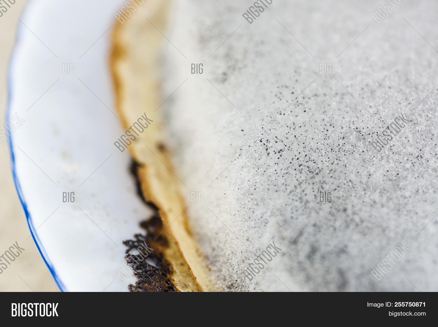 Blue Mold. Mold On Image & Photo (Free Trial) | Bigstock