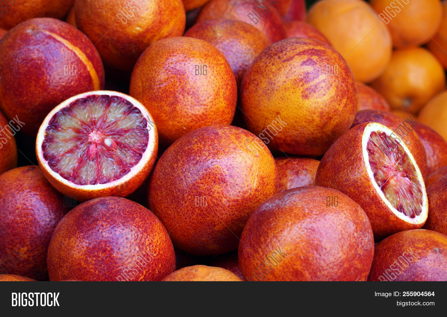 Red Sicilian Oranges Image & Photo (Free Trial) | Bigstock