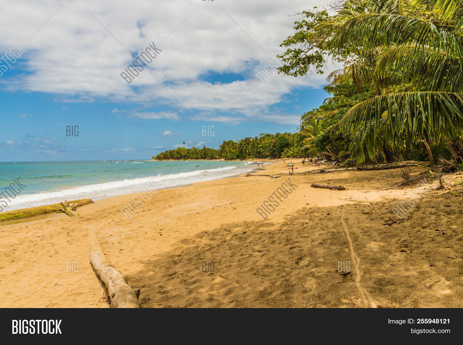 Punta Uva, Puerto Image & Photo (Free Trial) | Bigstock