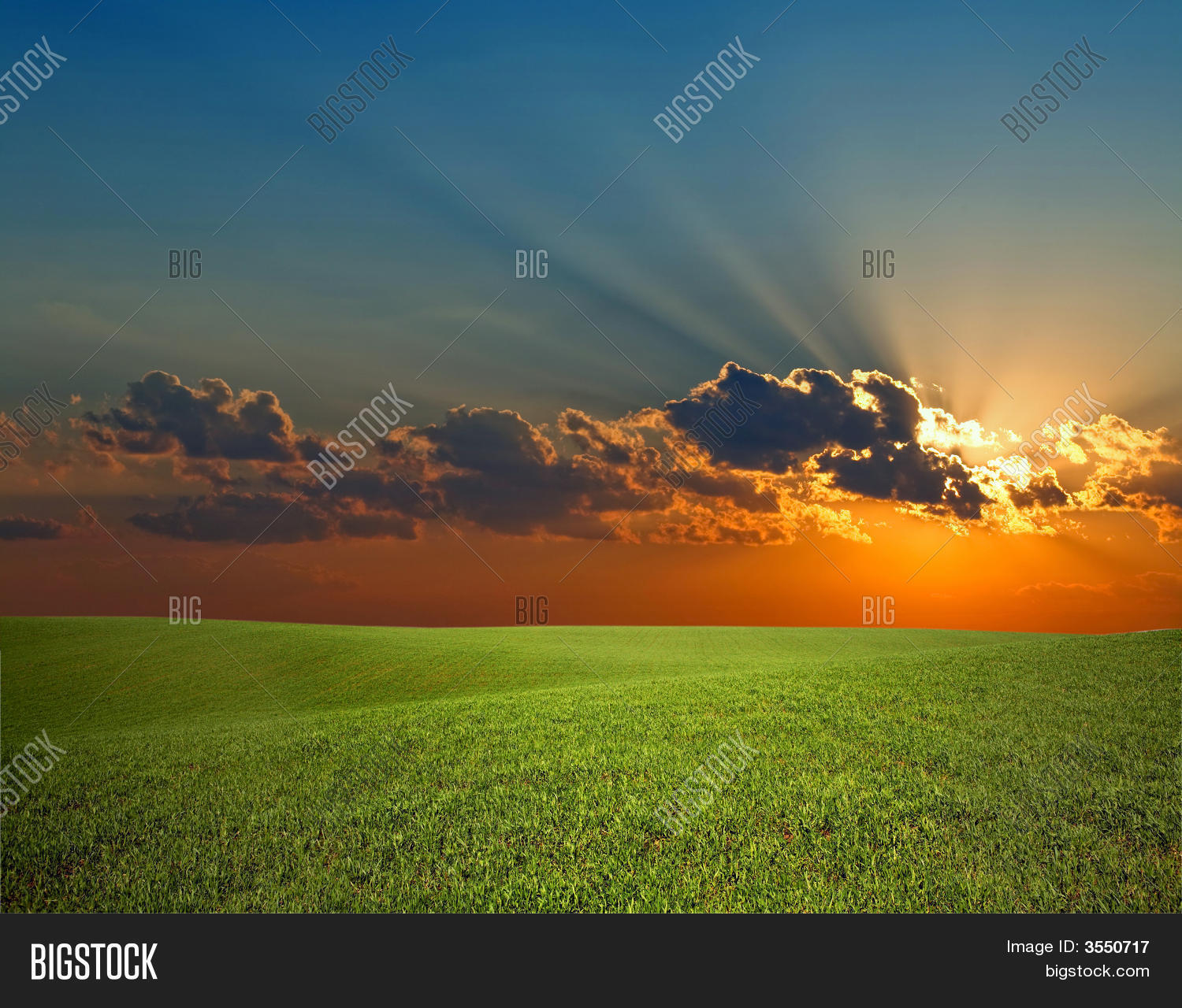 Green Field Image & Photo (Free Trial) | Bigstock