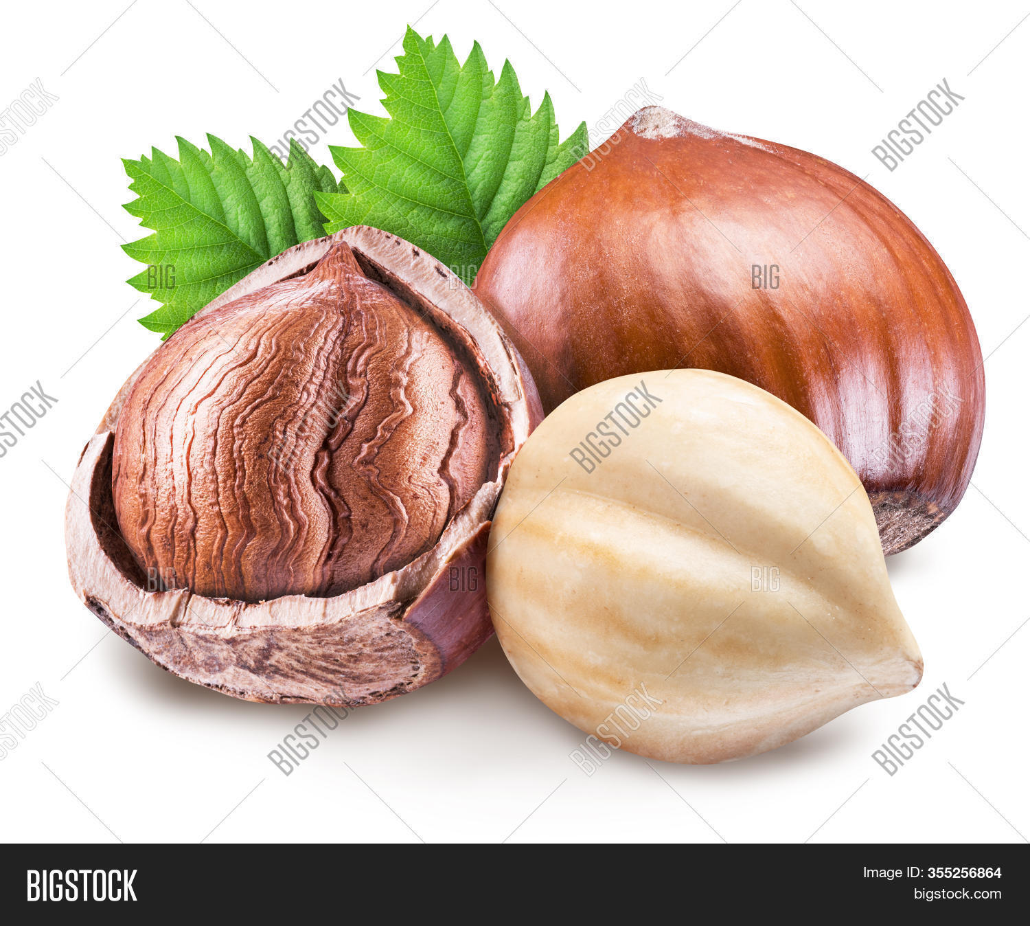 Hazelnuts Shell, Hazel Image & Photo (Free Trial) | Bigstock