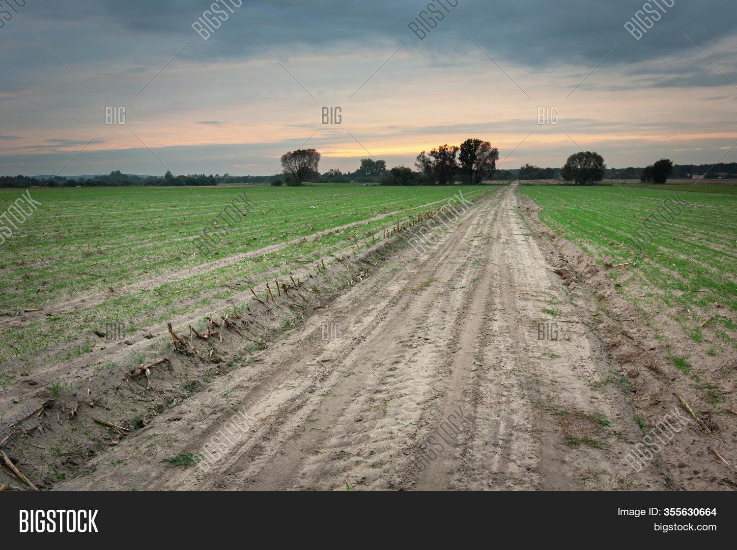Sandy Road Through Image & Photo (Free Trial) | Bigstock