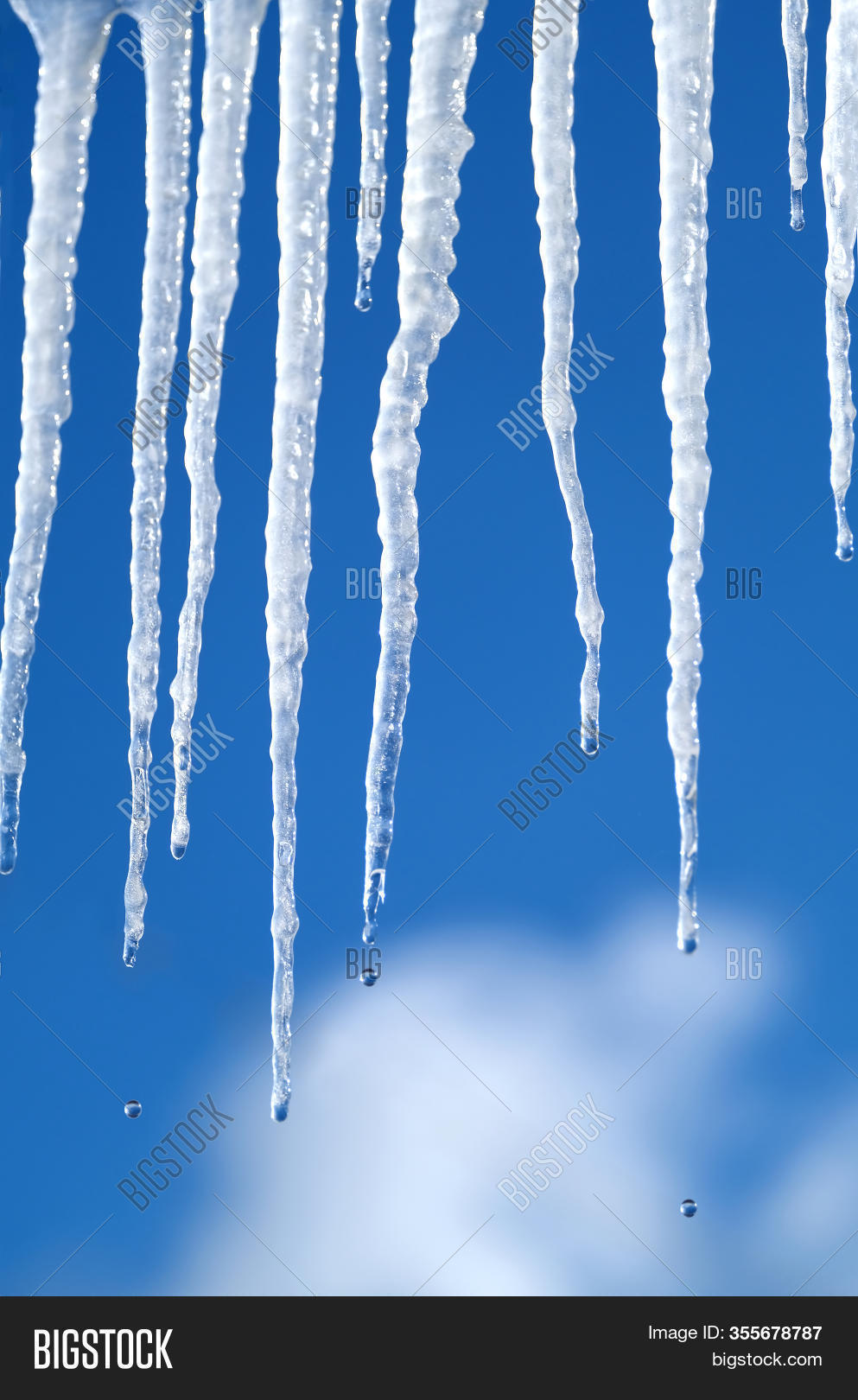 Spring Drops Long Image & Photo (Free Trial) | Bigstock